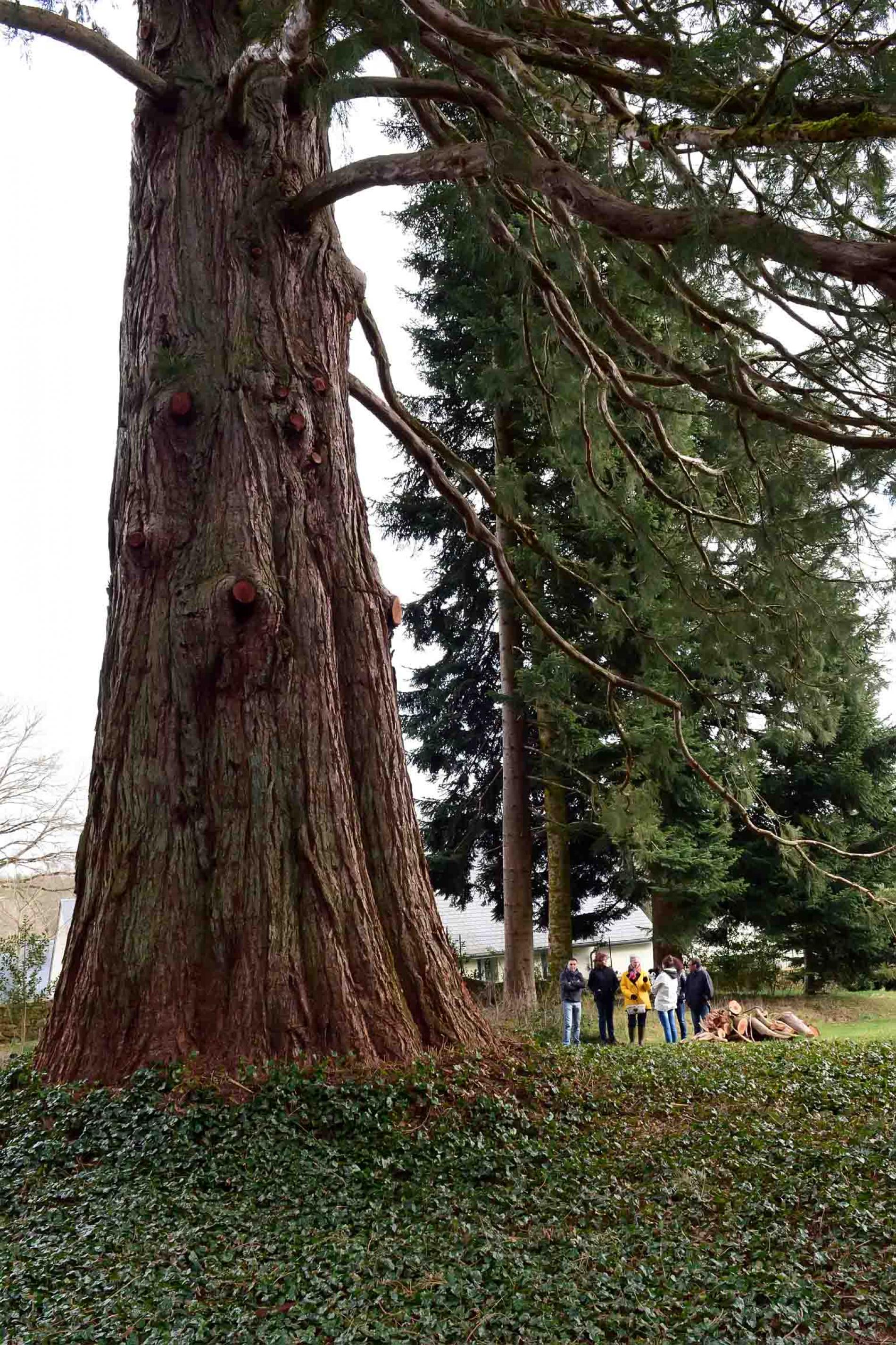 Stay in Neuvic at the Hôtel du Lac of the Triouzoune